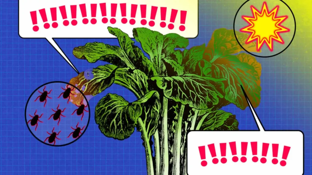 Revolutionary Plant Sensors: Transforming Crop Protection